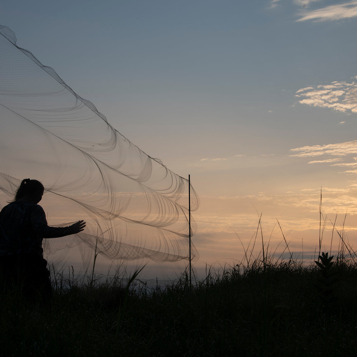 Mist Nets – Avinet Research Supplies
