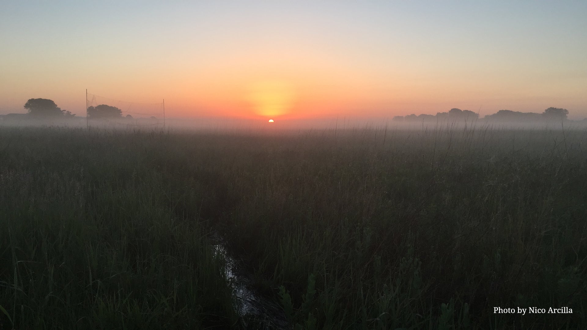 Avinet Research Supplies | Research Gear for the Field Biologist